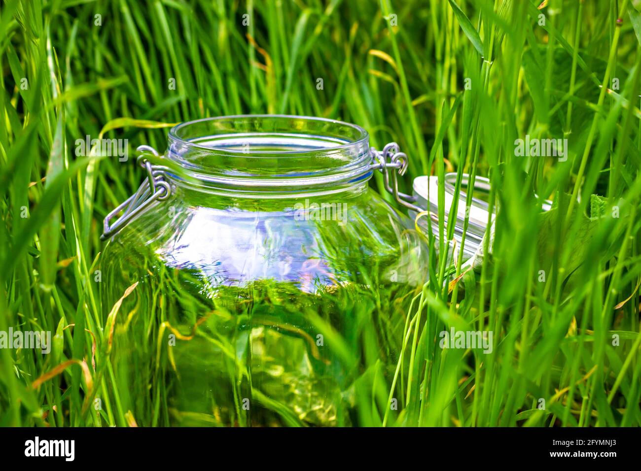 Empty glass jar in green grass. Bank for conservation Stock Photo - Alamy