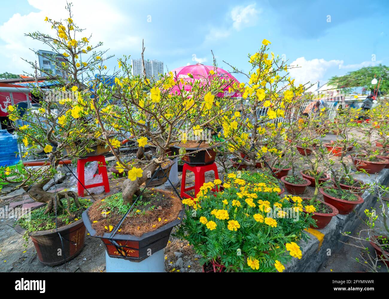 Plastic air pots hi-res stock photography and images - Alamy
