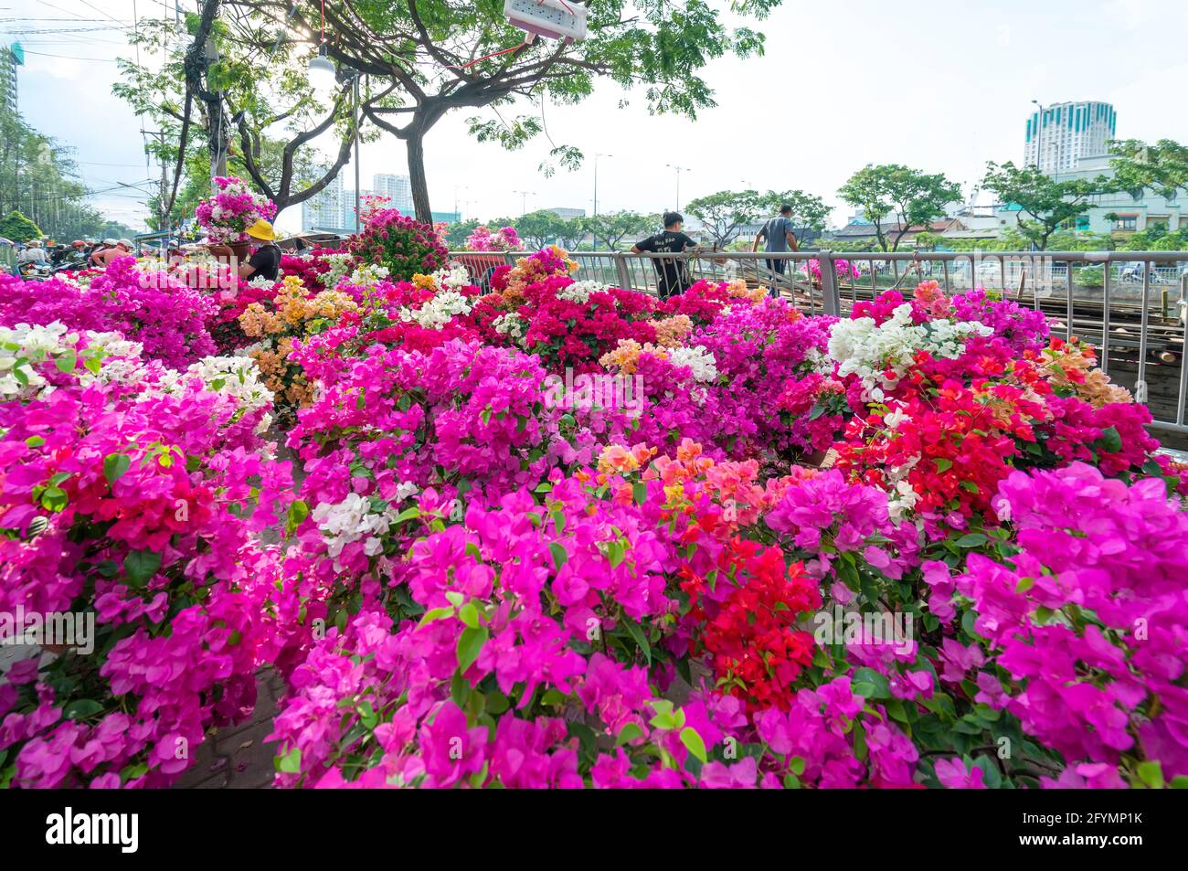 Bustle of buying flowers at flower market, locals buy flowers for ...