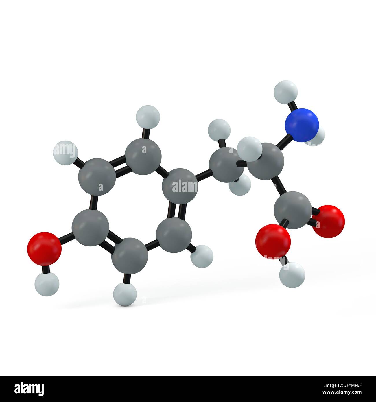 Tyrosine amino acid molecule hi-res stock photography and images - Alamy