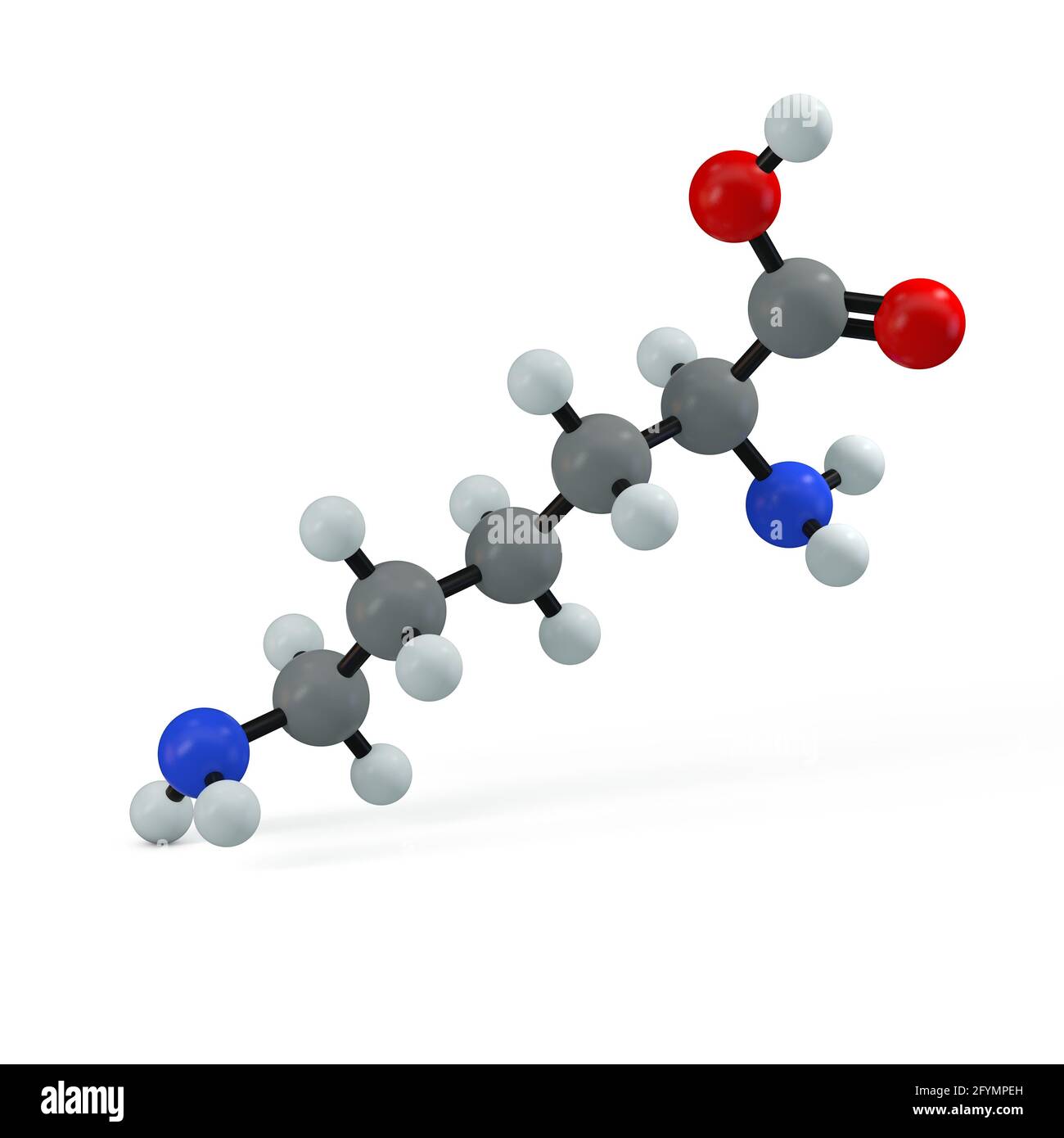 Lysine molecule, illustration Stock Photo - Alamy