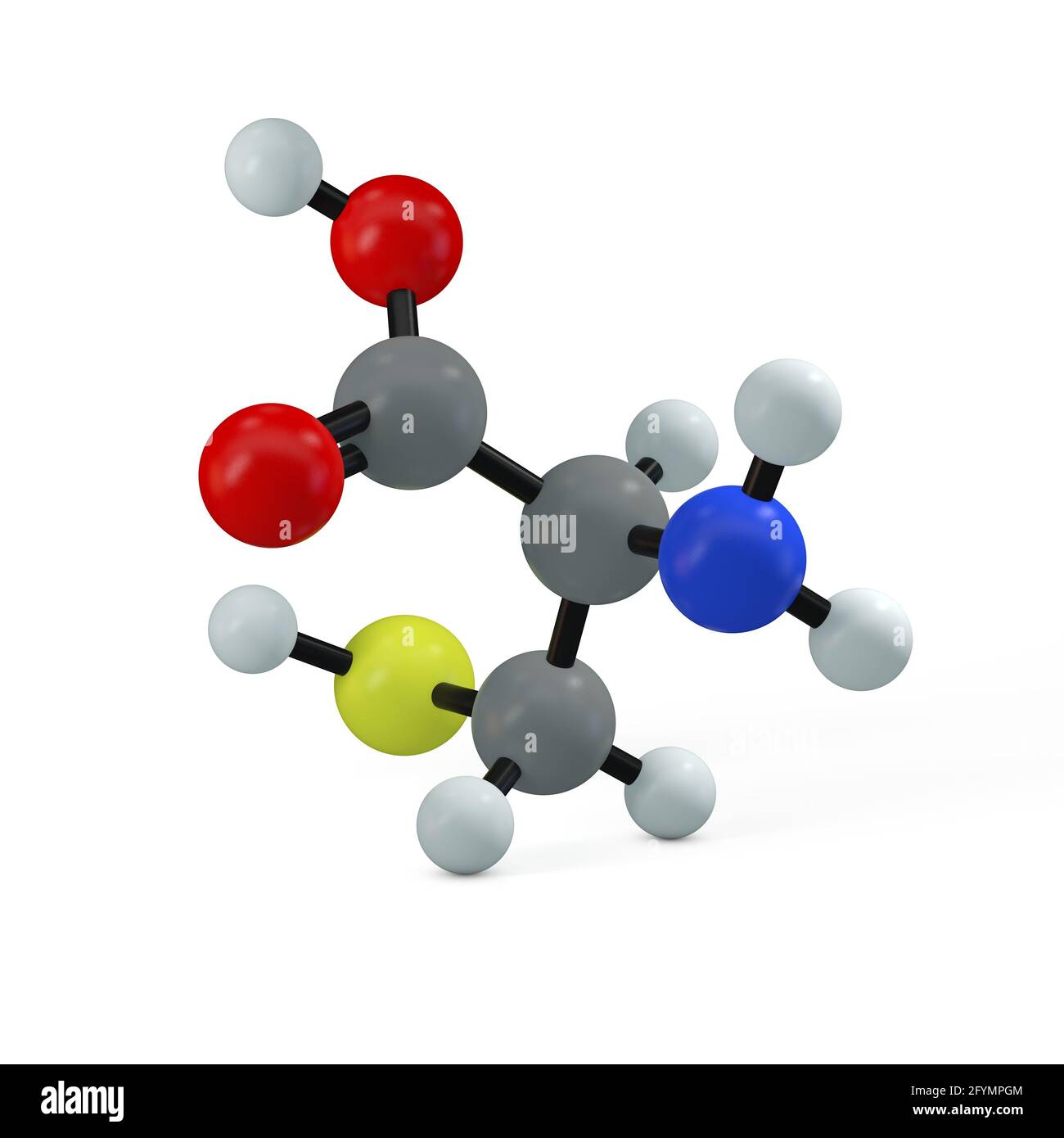 Cysteine amino acid molecule hi-res stock photography and images - Alamy