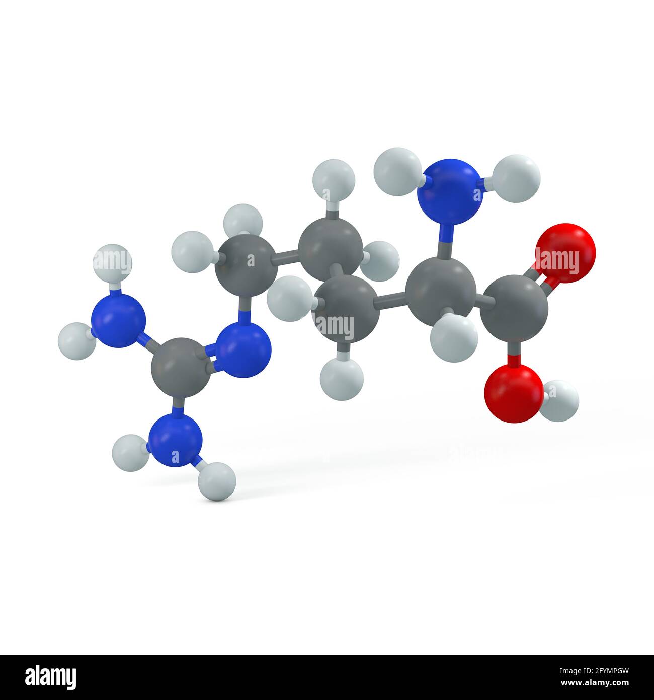 Arginine molecule hi-res stock photography and images - Alamy
