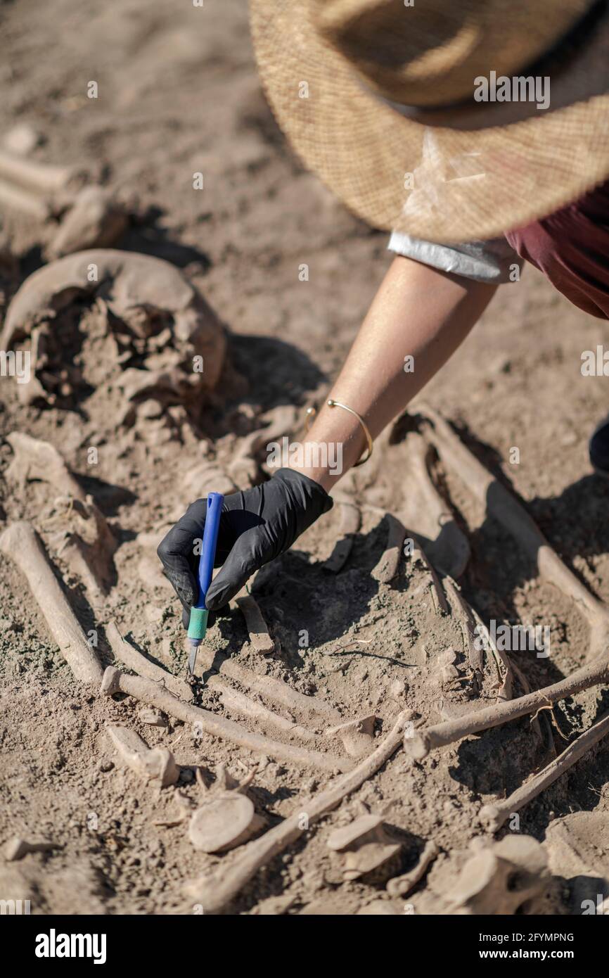 Human skeleton dig hi-res stock photography and images - Alamy