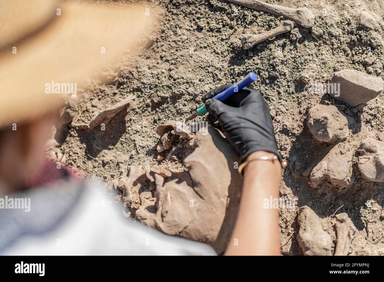 Archaeologist excavating tomb hi-res stock photography and images - Alamy