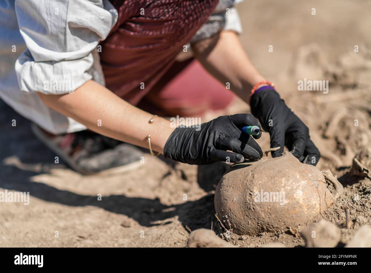 Archaeologist excavating skeleton Stock Photo - Alamy