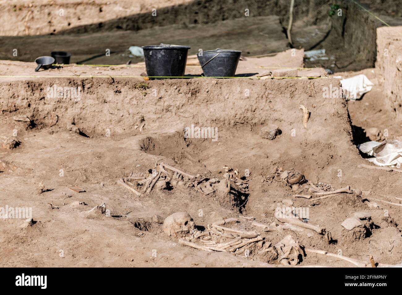 Archaeological excavation bones hi-res stock photography and images - Alamy