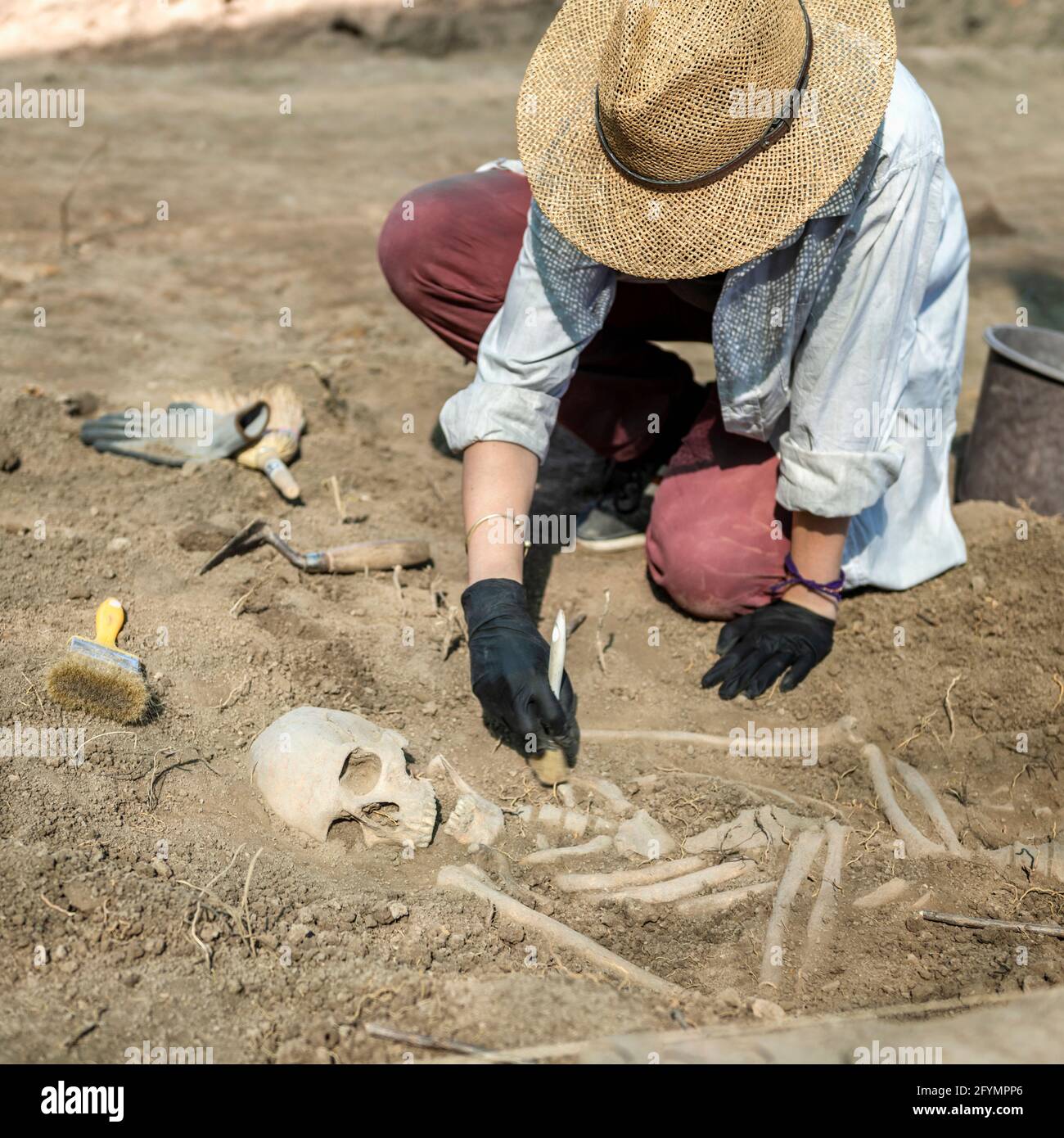 Archaeologist digging human bones hi-res stock photography and images ...