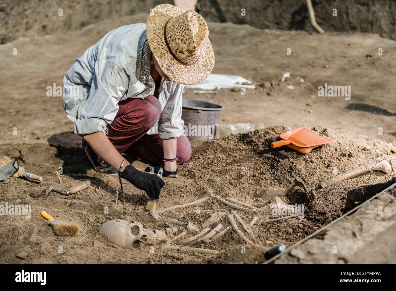 Archaeologist digging human bones hi-res stock photography and images ...
