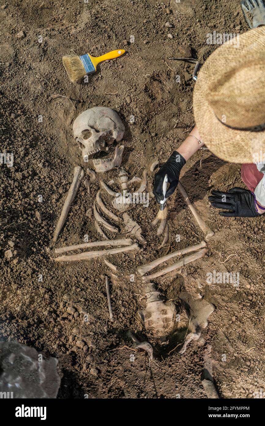 Archaeologist excavating skeleton Stock Photo - Alamy