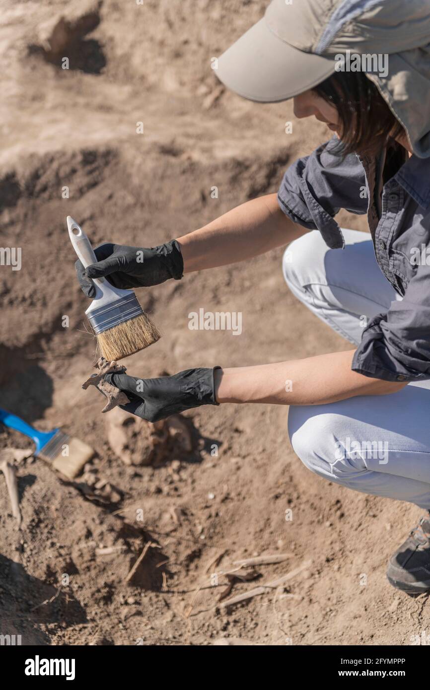 Archaeologist digging human bones hi-res stock photography and images ...
