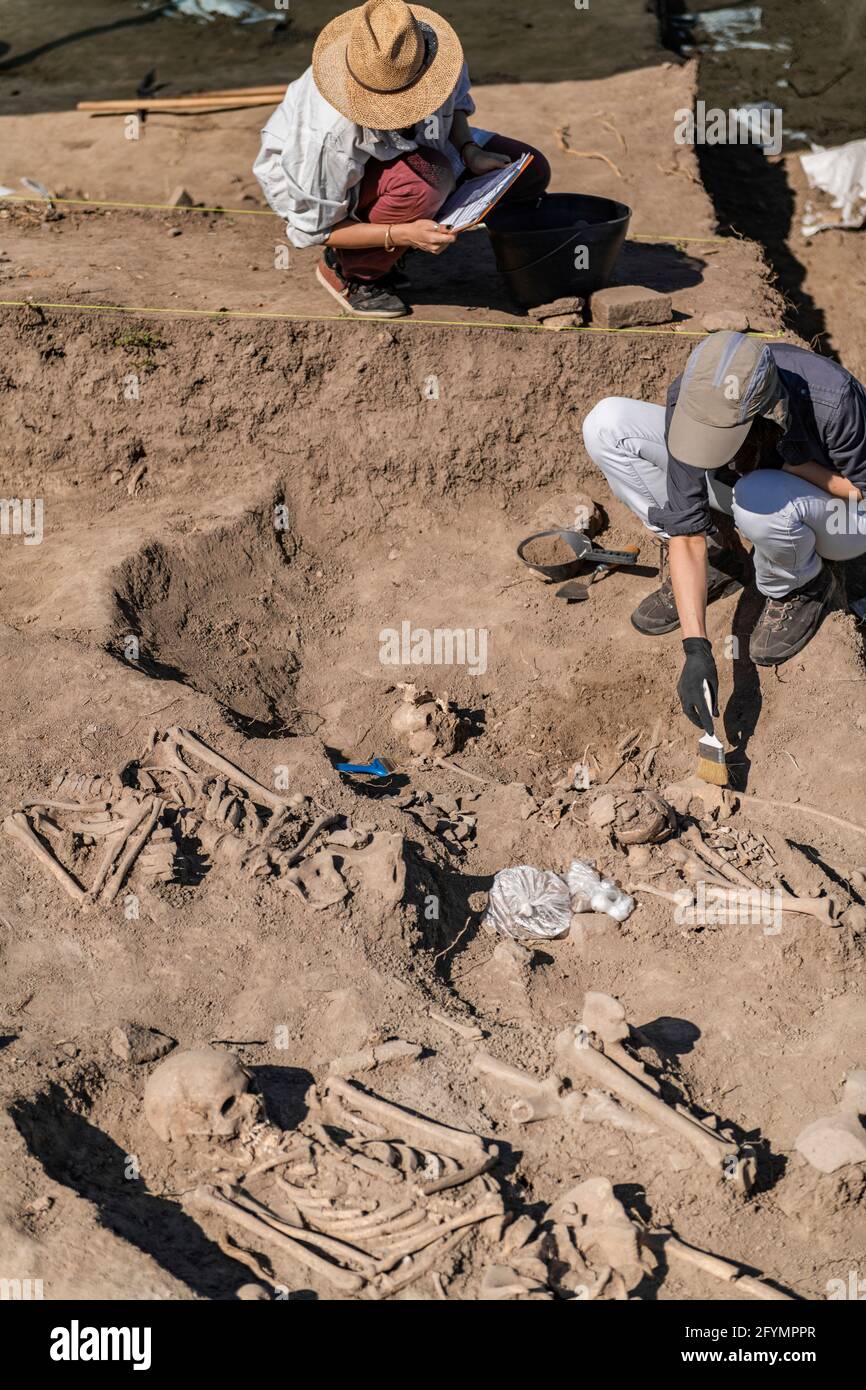 Archaeologist digging tool hi-res stock photography and images - Alamy