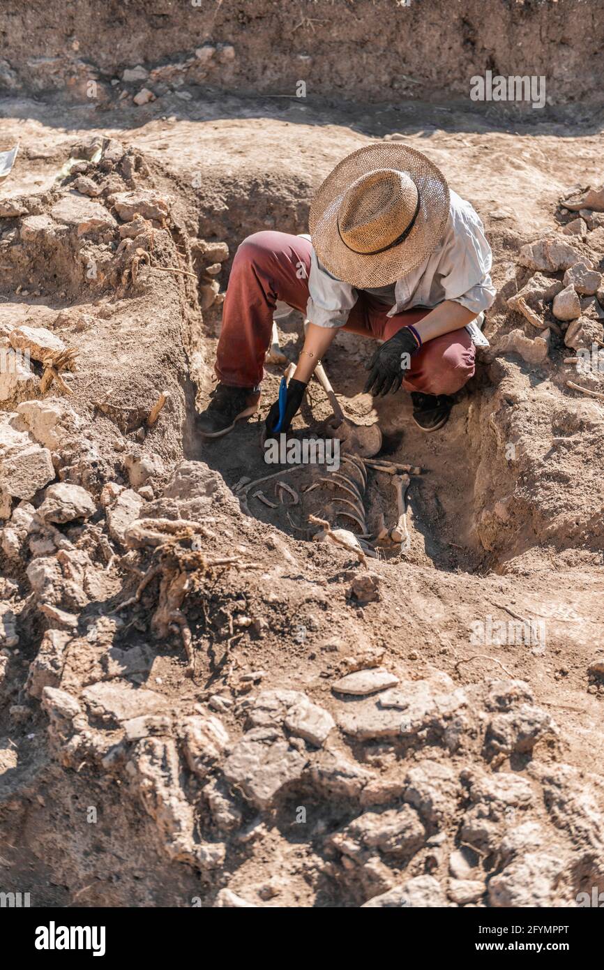 Anthropology dig hi-res stock photography and images - Alamy