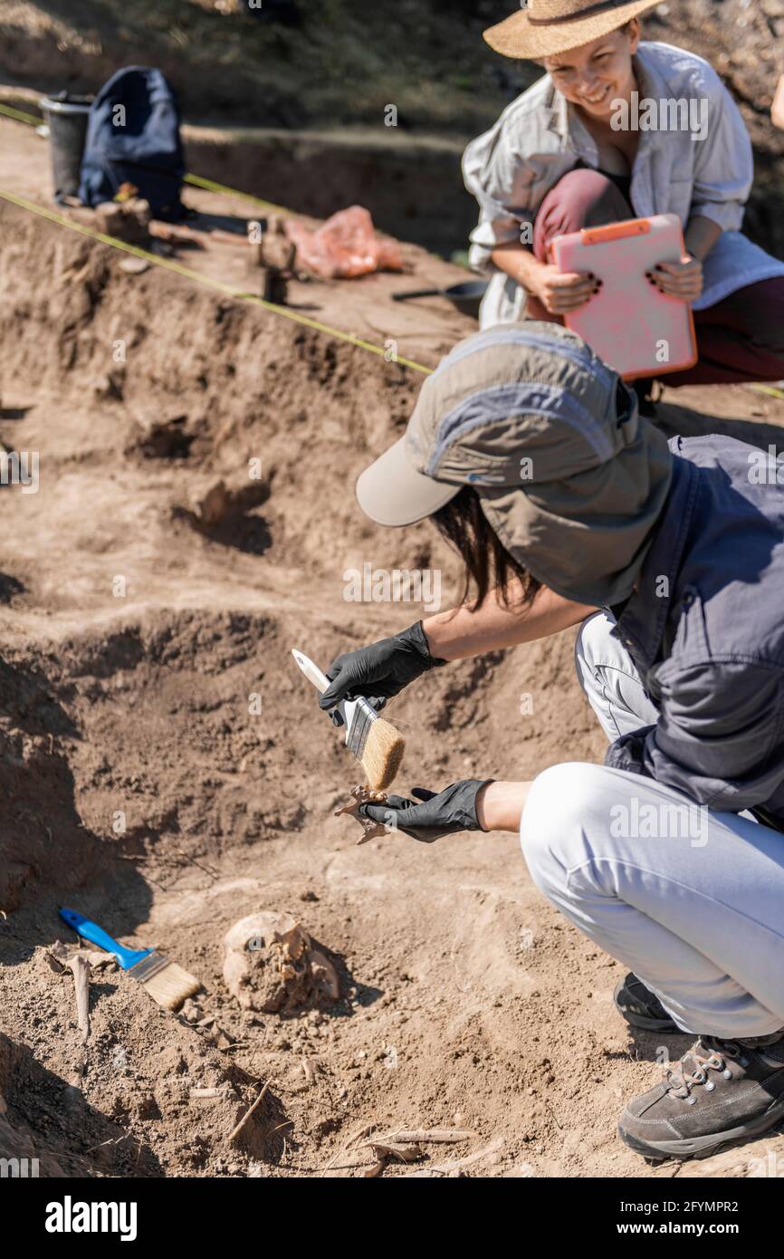 Archaeologist excavating skeleton Stock Photo - Alamy
