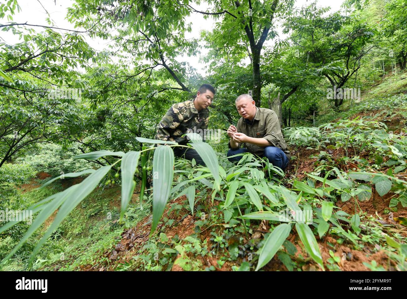 Planting skills hi-res stock photography and images - Alamy