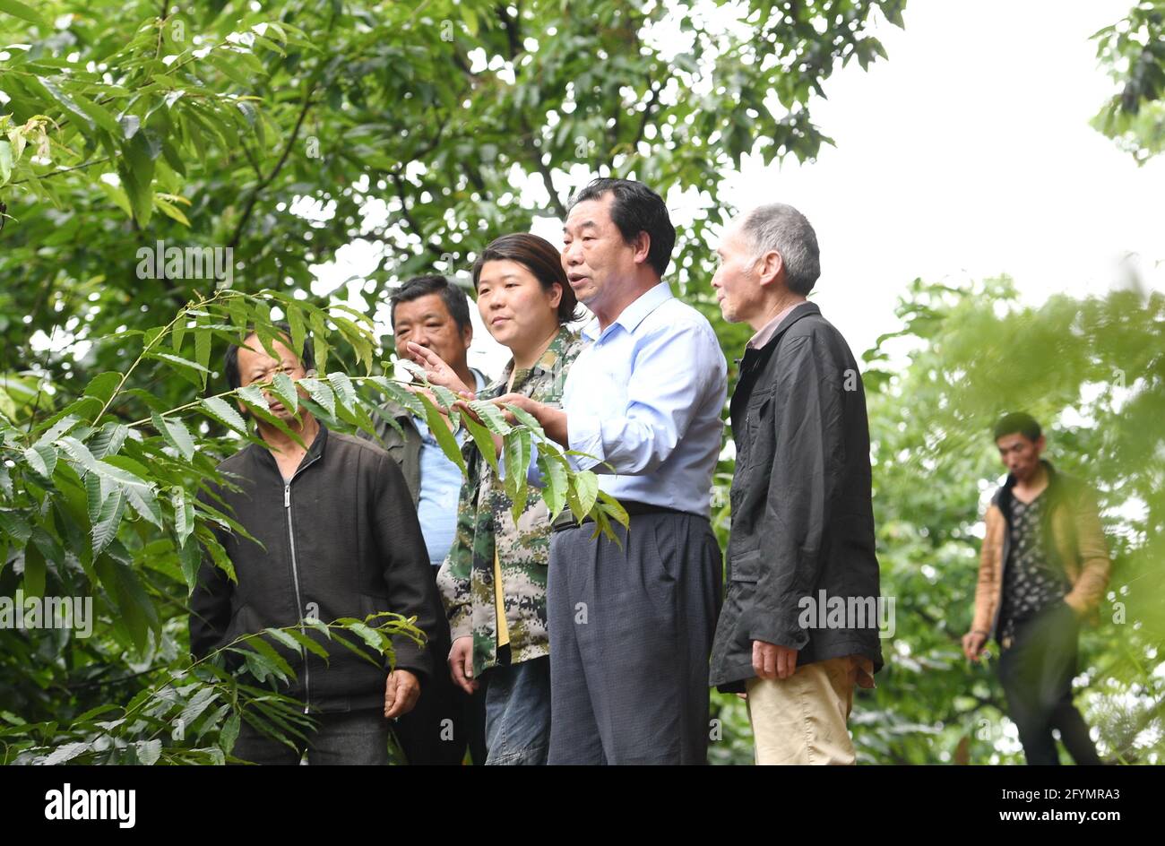 Tech in villages hi-res stock photography and images - Alamy