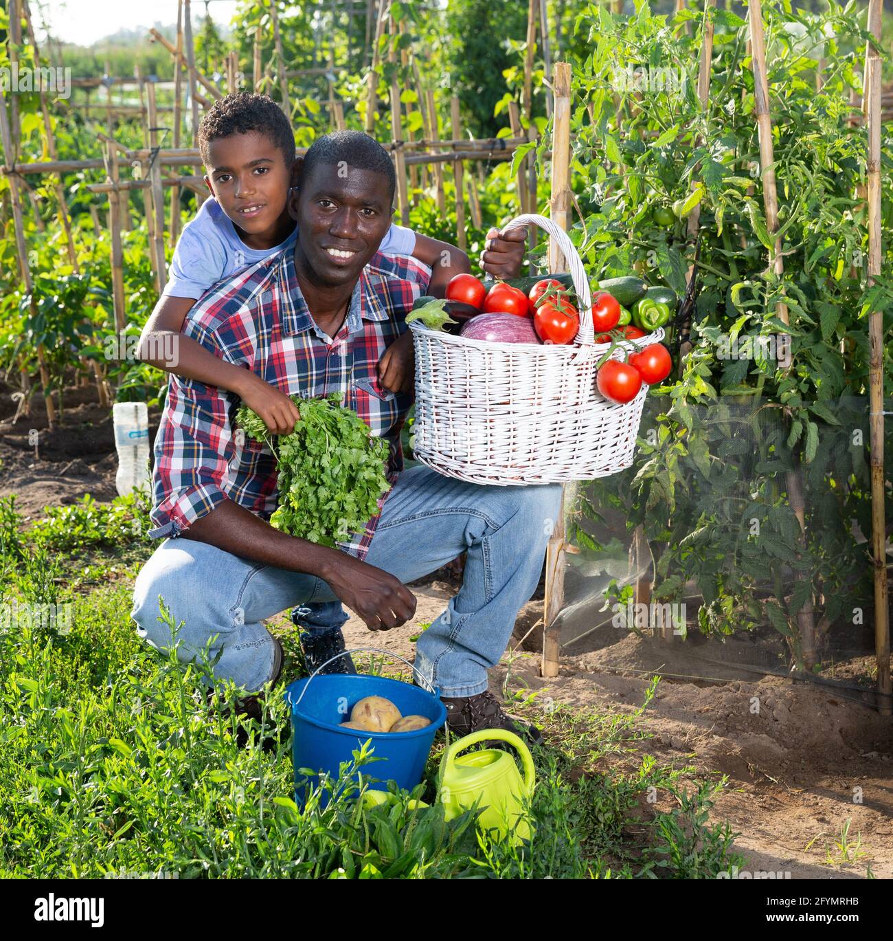 Happy family with harvest of vegetables in the garden Stock Photo - Alamy