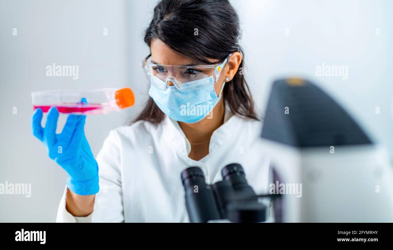 Molecular biology research hi-res stock photography and images - Alamy