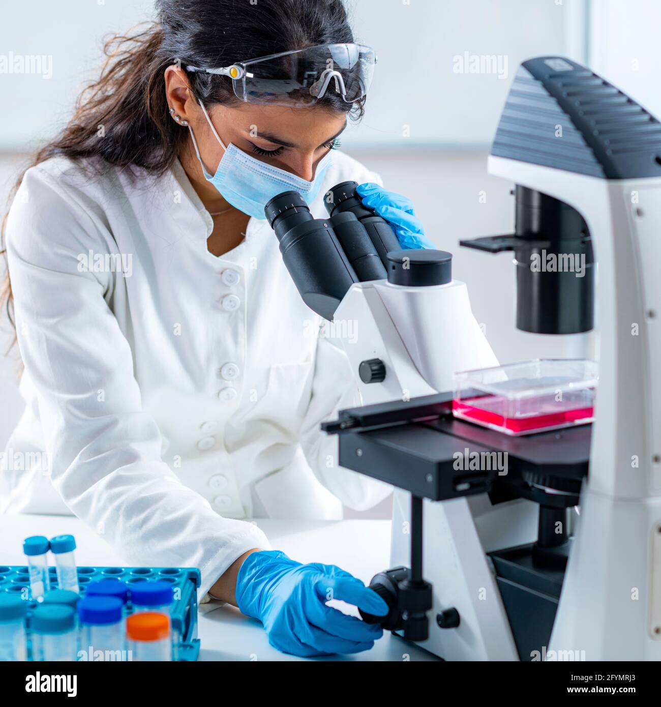 Researcher studying cell culture Stock Photo - Alamy