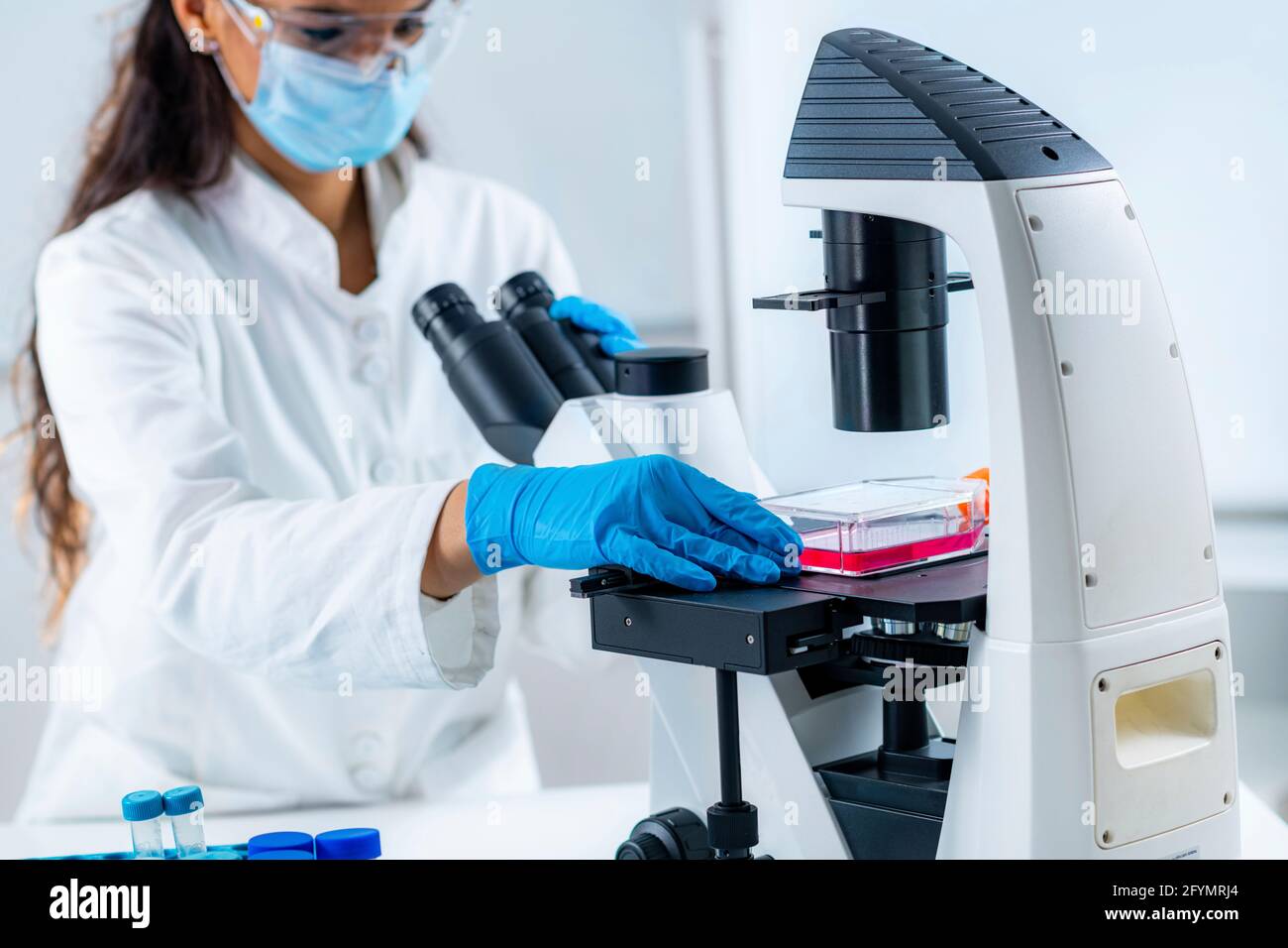 Researcher studying cell culture Stock Photo - Alamy
