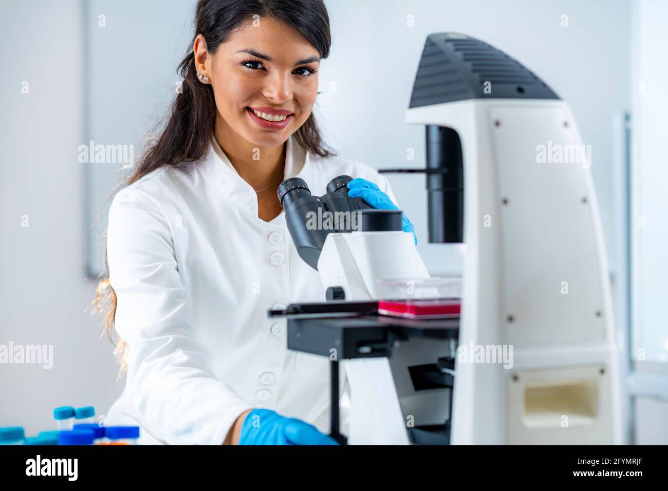 Researcher studying cell culture Stock Photo - Alamy