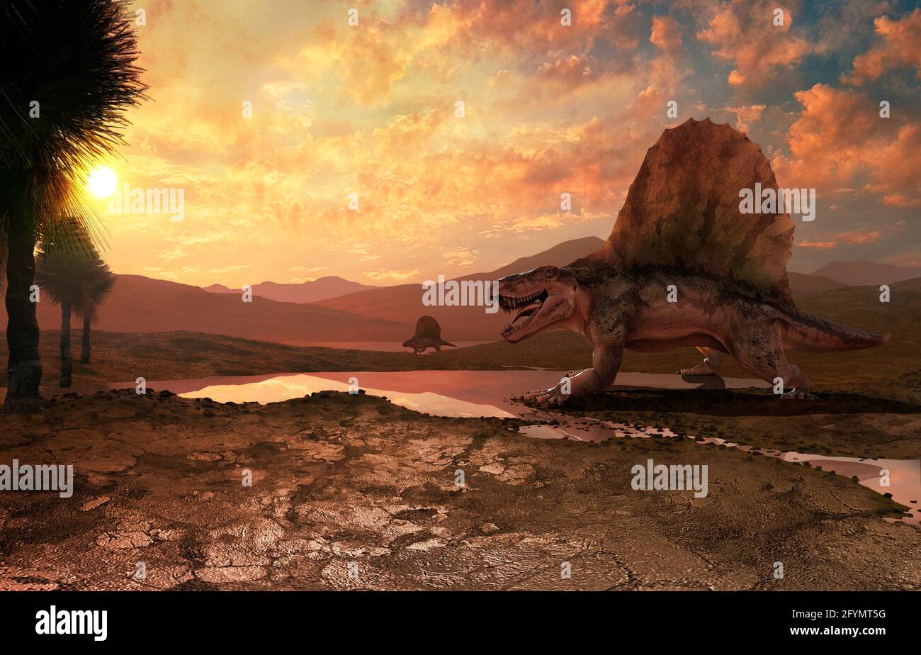 Permian landscape hi-res stock photography and images - Alamy