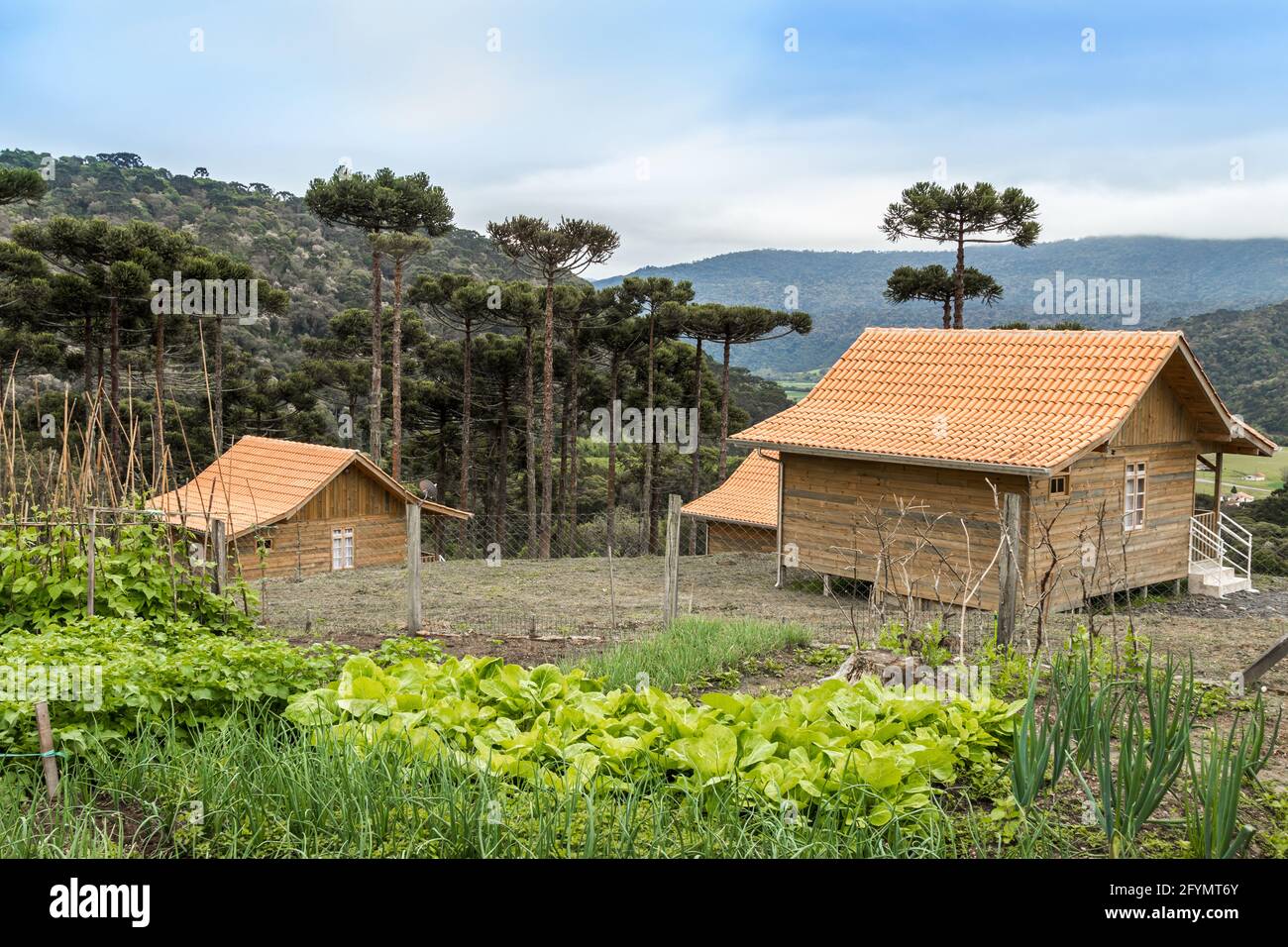 Beautiful scenery of a rural area landscape in Brazil Stock Photo - Alamy