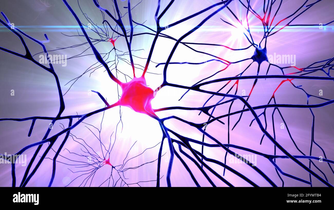 Human brain nerve cells, illustration Stock Photo - Alamy