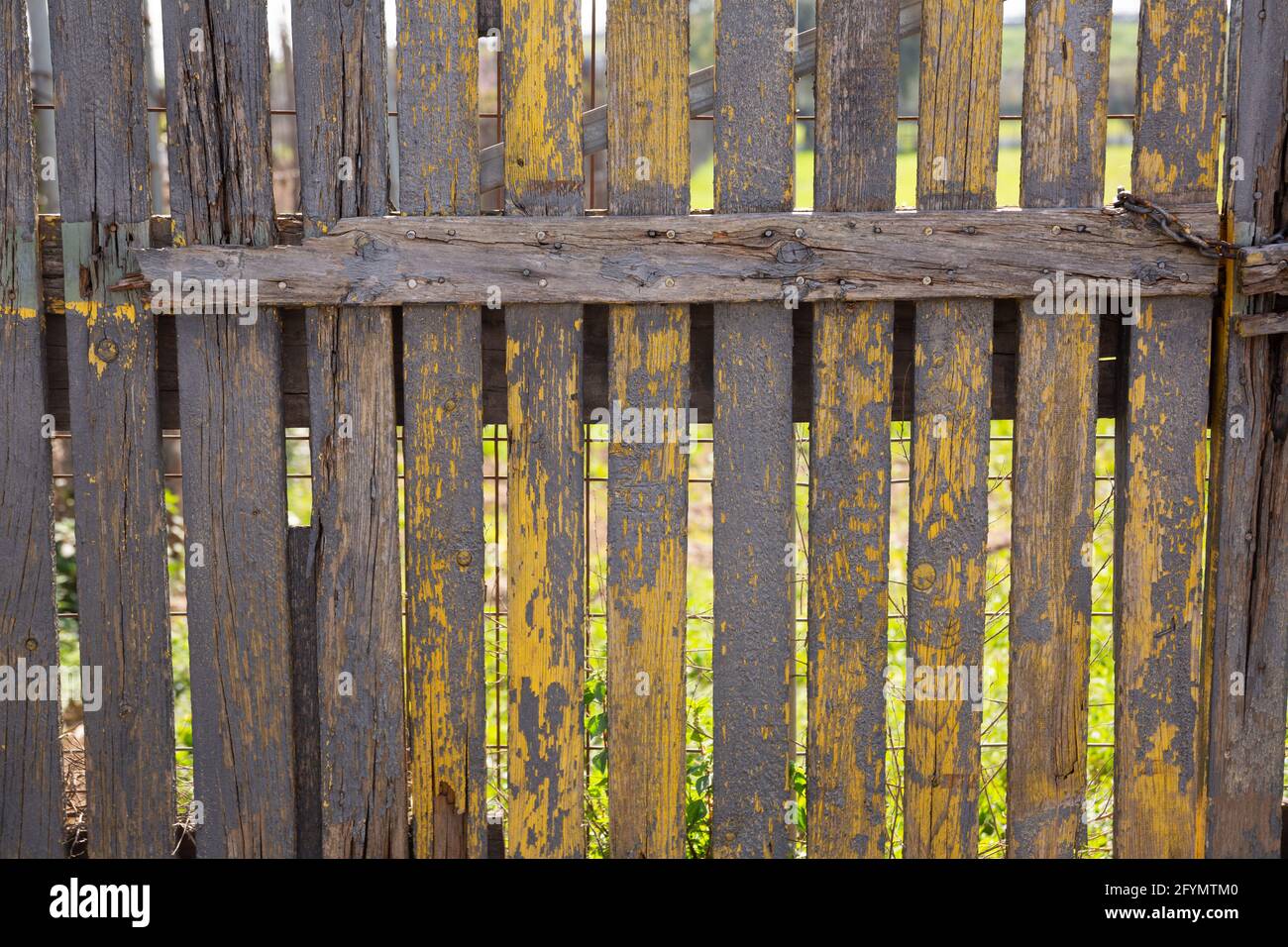 Closeup of old rotten wooden garden fence on background with green ...