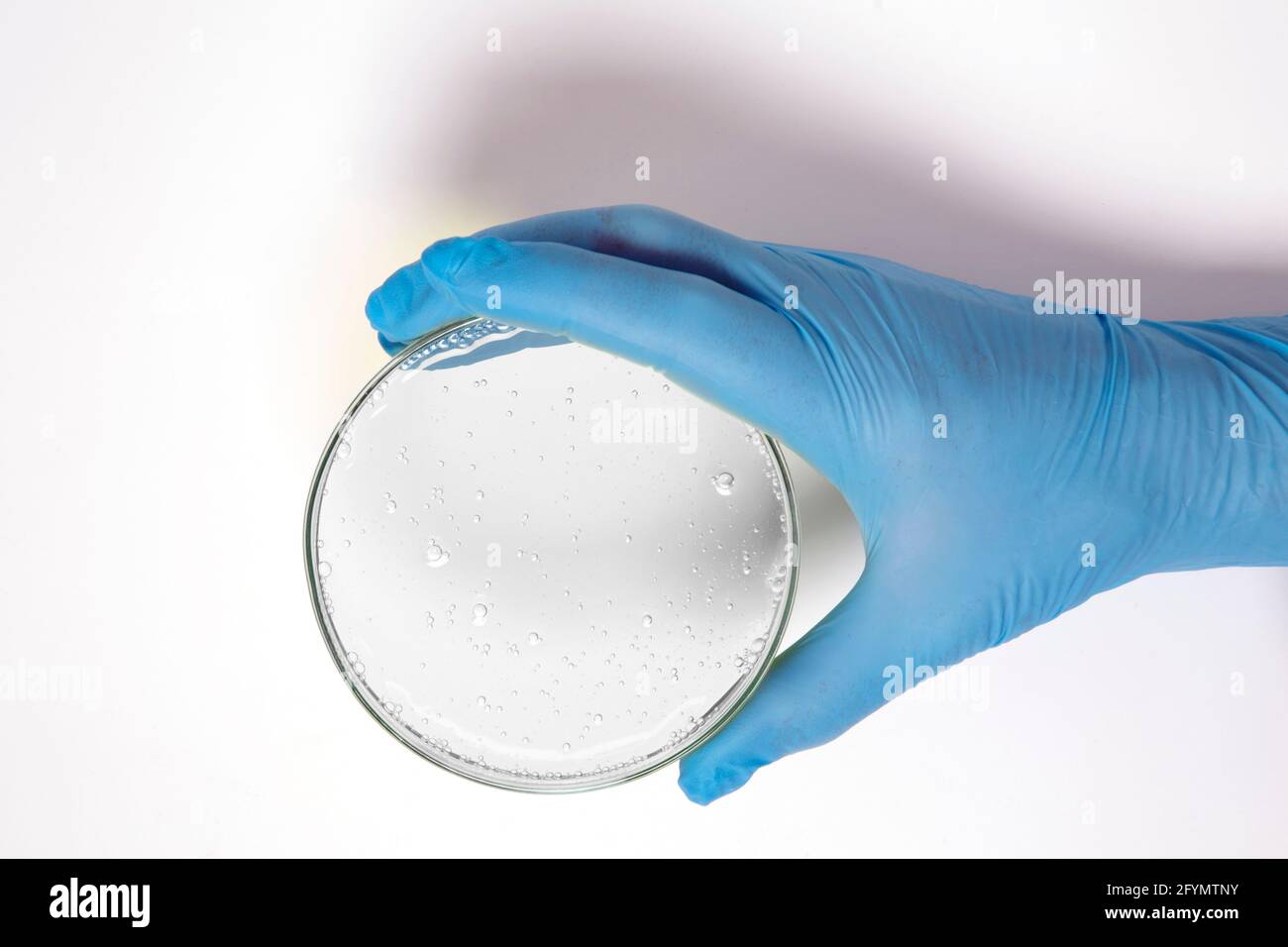 Petri Dish Hand at Summer Mathew blog