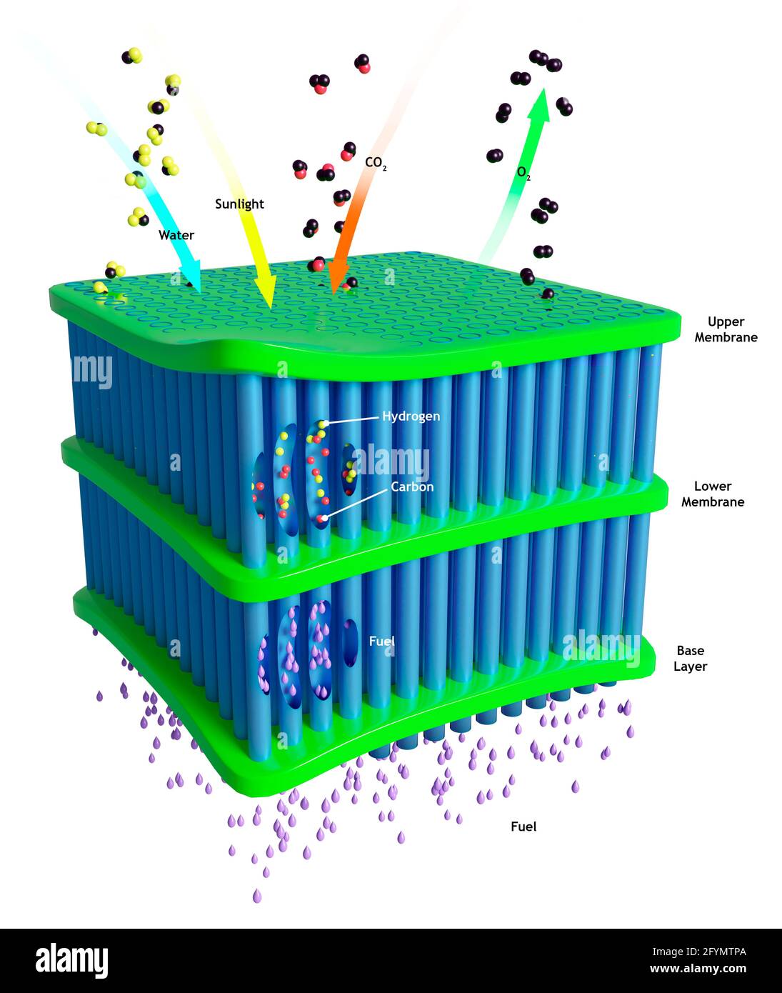 Artificial photosynthesis, illustration Stock Photo - Alamy Artificial photosynthesis, illustration Stock Photo - Alamy