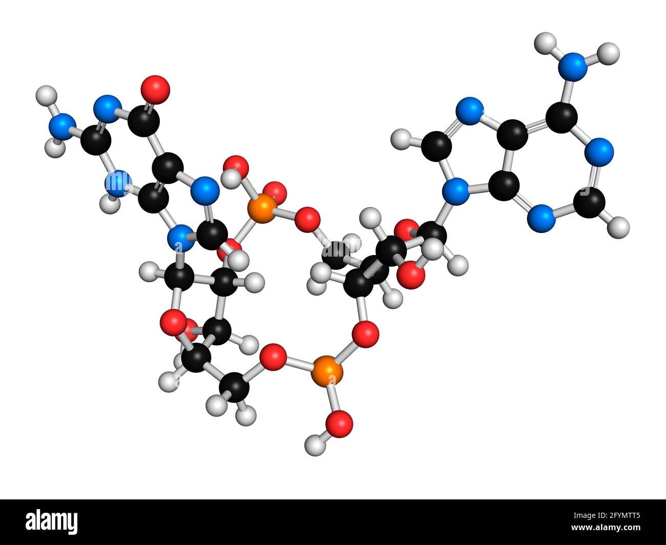 Cyclic gmp Cut Out Stock Images & Pictures - Alamy