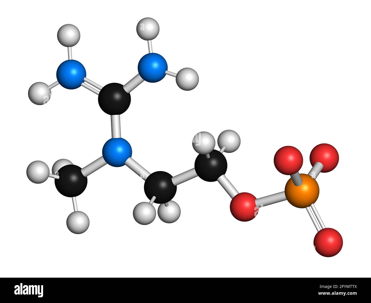 Creatinol-O-Phosphate molecule, illustration Stock Photo - Alamy