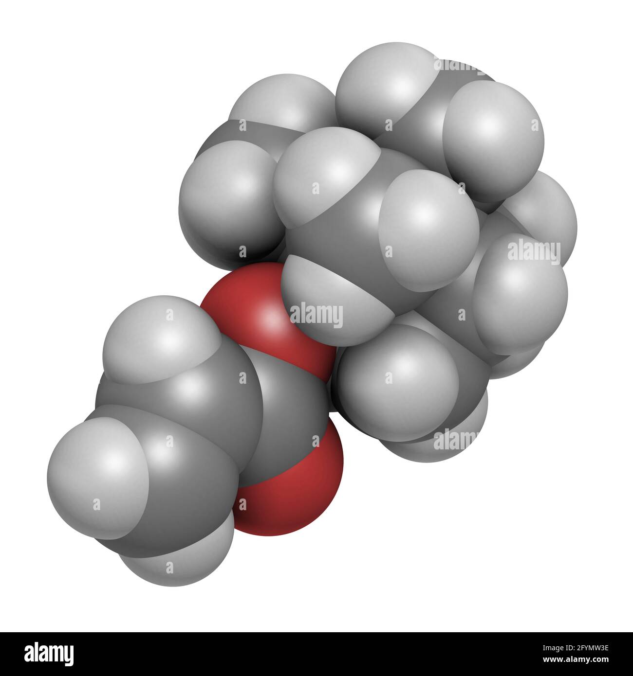 Isobornyl acrylate molecule, illustration Stock Photo - Alamy