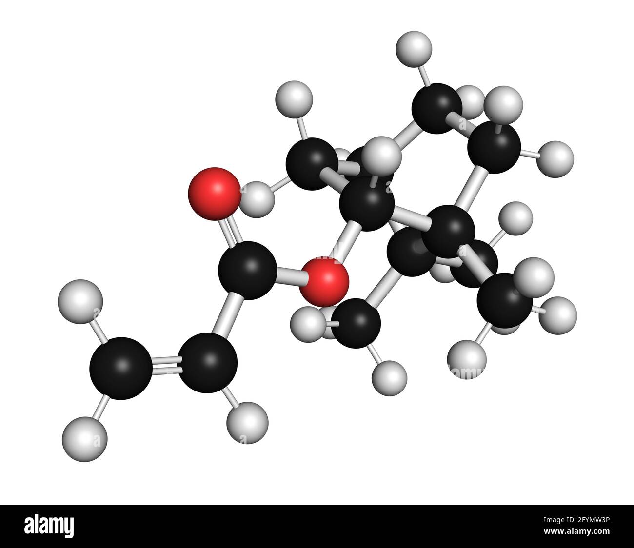 Isobornyl acrylate molecule, illustration Stock Photo - Alamy