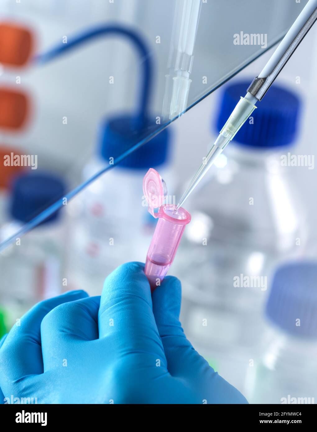 Scientist experimenting dna samples hi-res stock photography and images ...