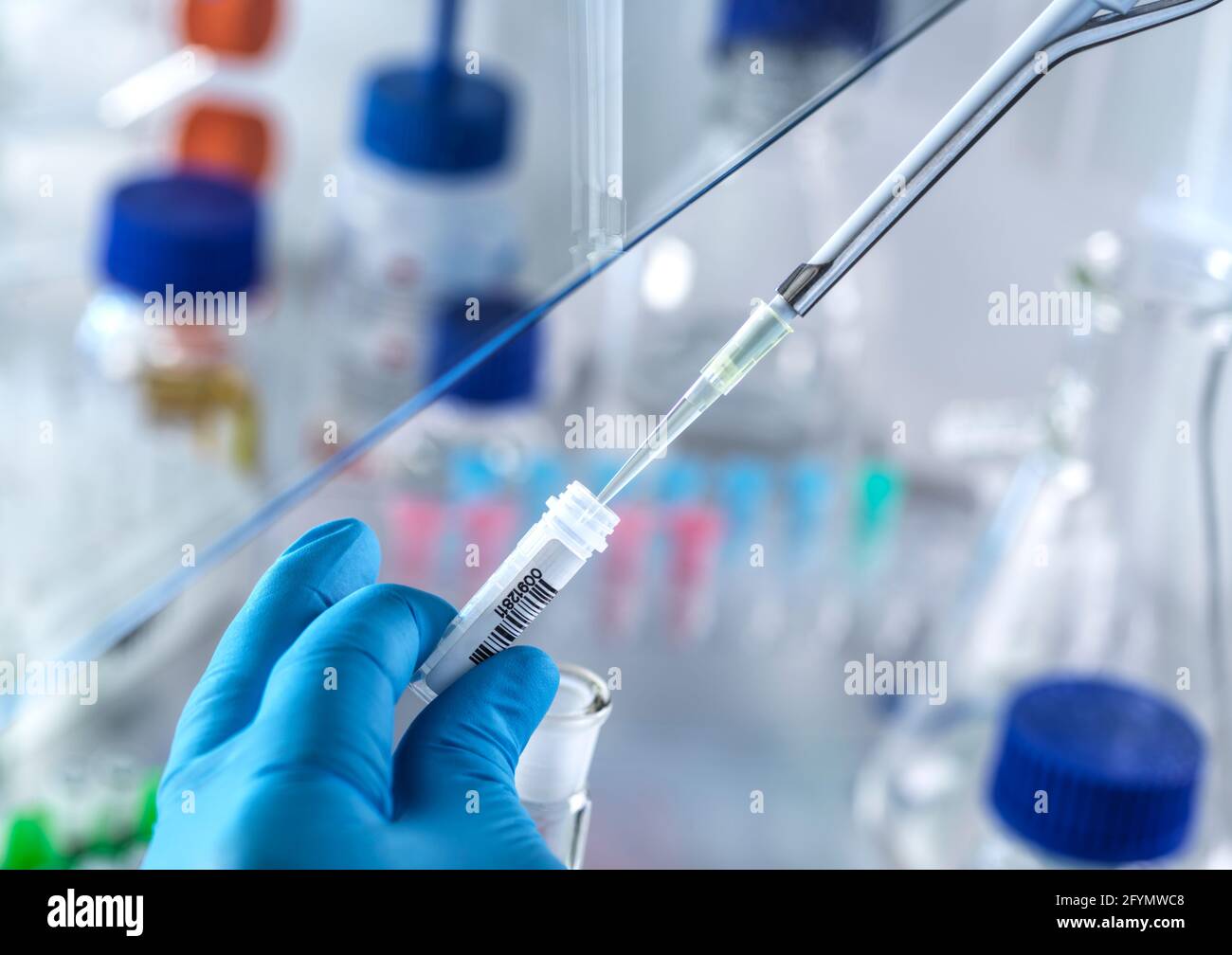 Scientist experimenting dna samples hi-res stock photography and images ...