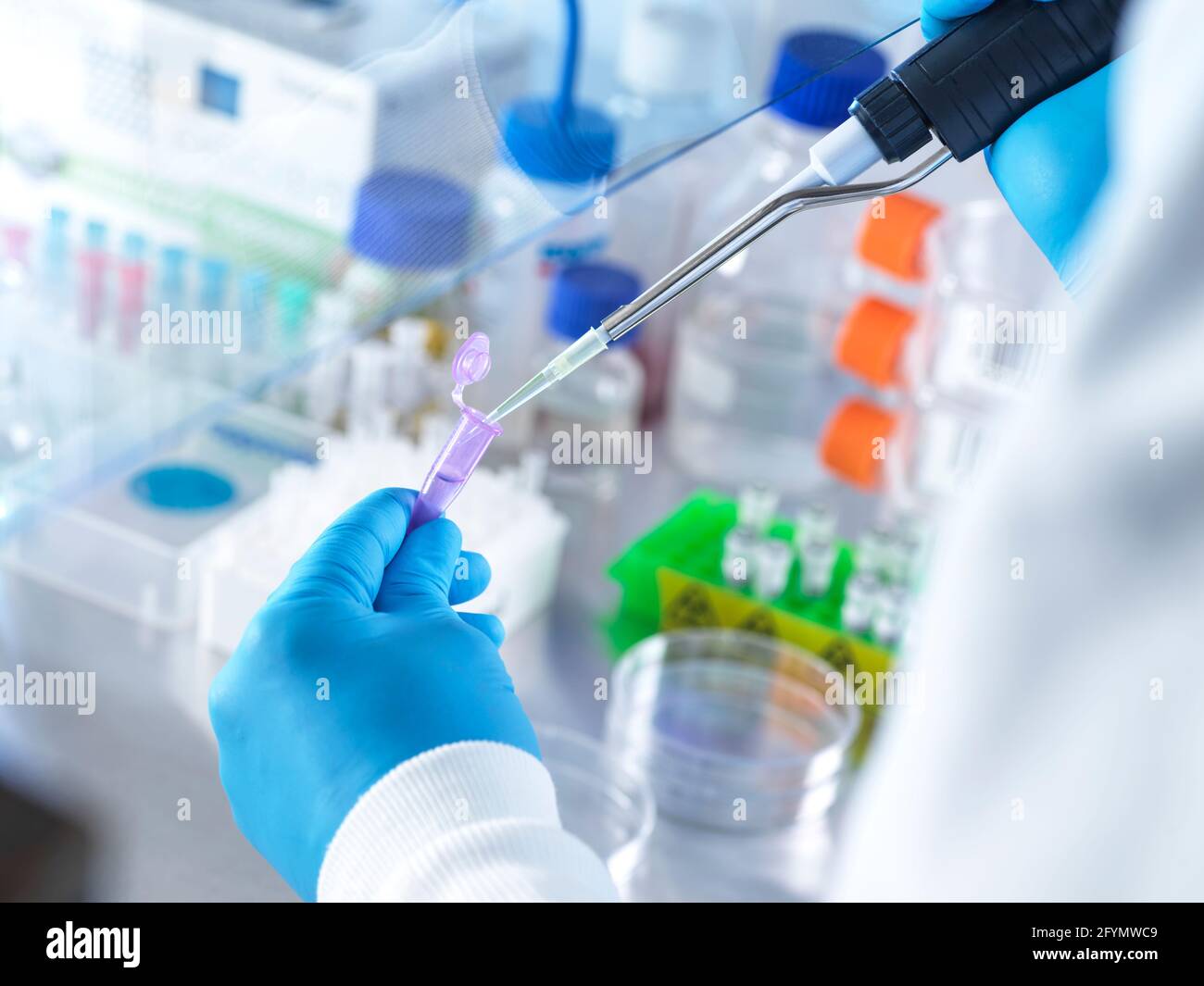 Scientist experimenting dna samples hi-res stock photography and images ...