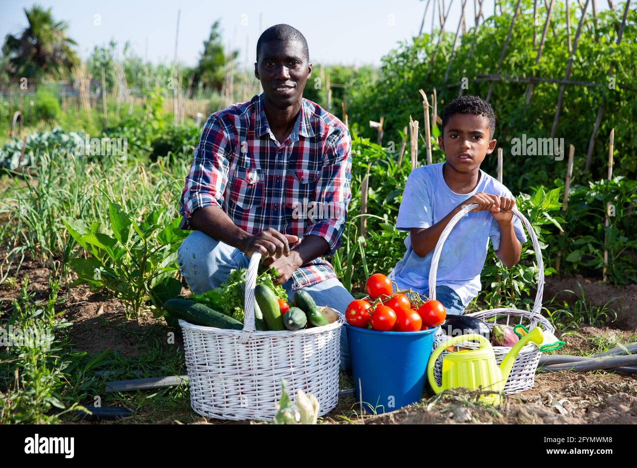 Happy family with harvest of vegetables in the garden Stock Photo - Alamy