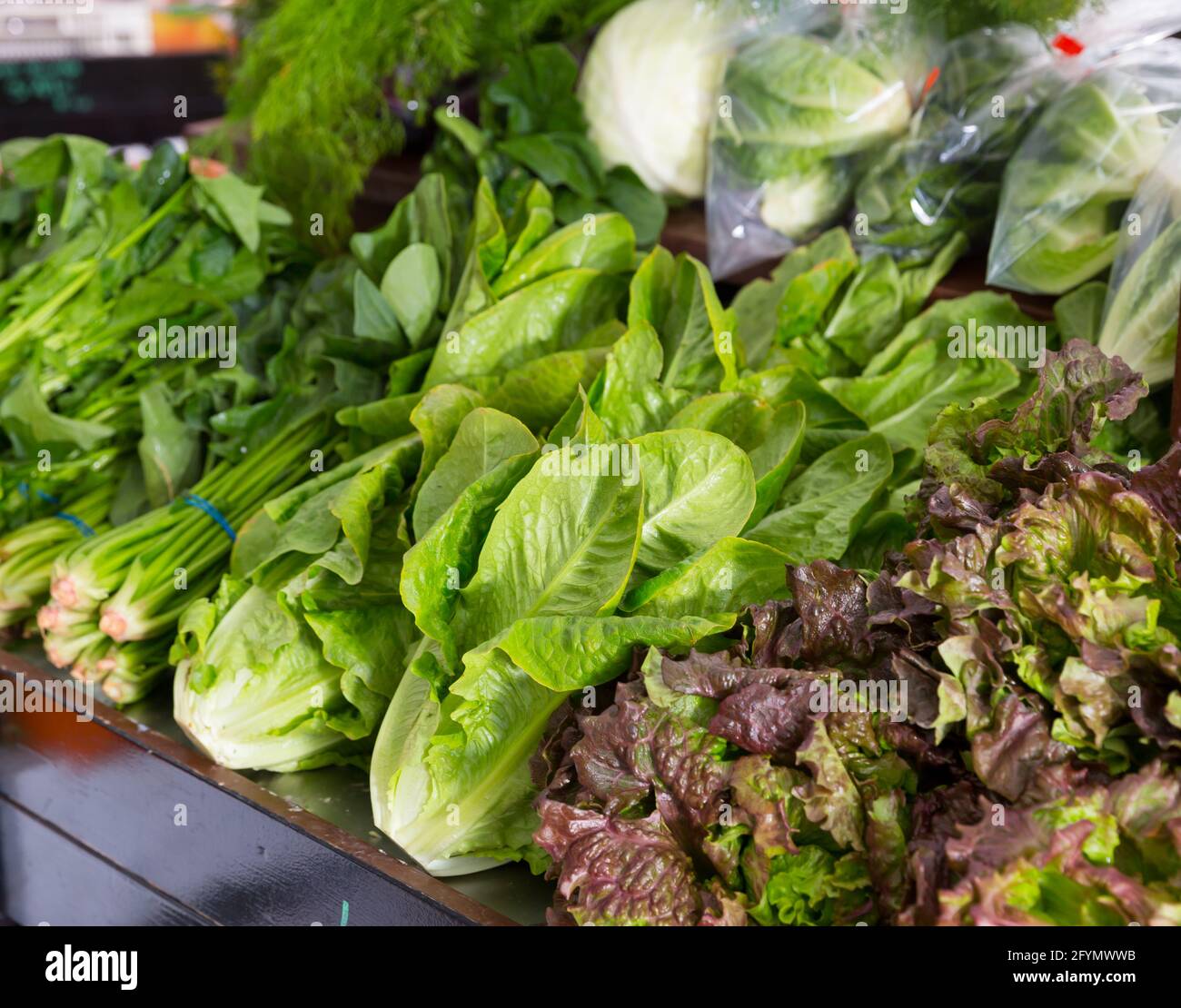 Assorted greens hi-res stock photography and images - Alamy