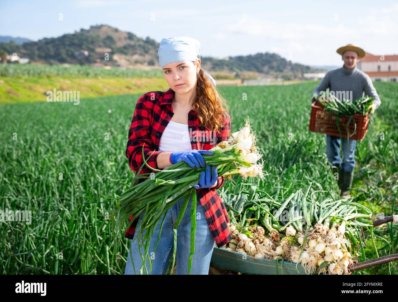 Portrait of young female farmer gathering in crops of green onions on ...