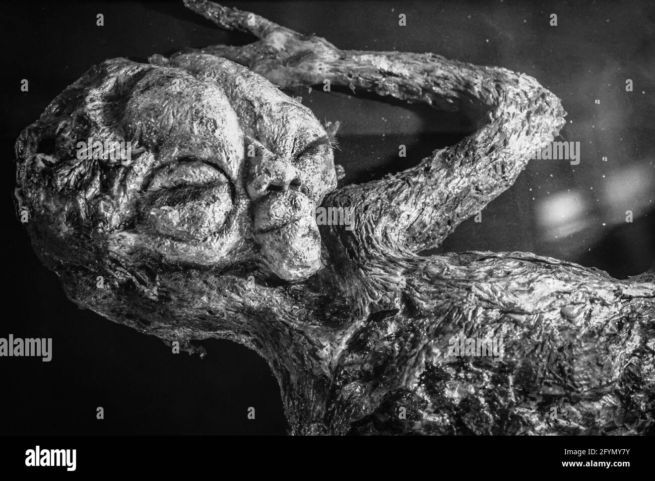 In disgust Black and White Stock Photos & Images - Alamy