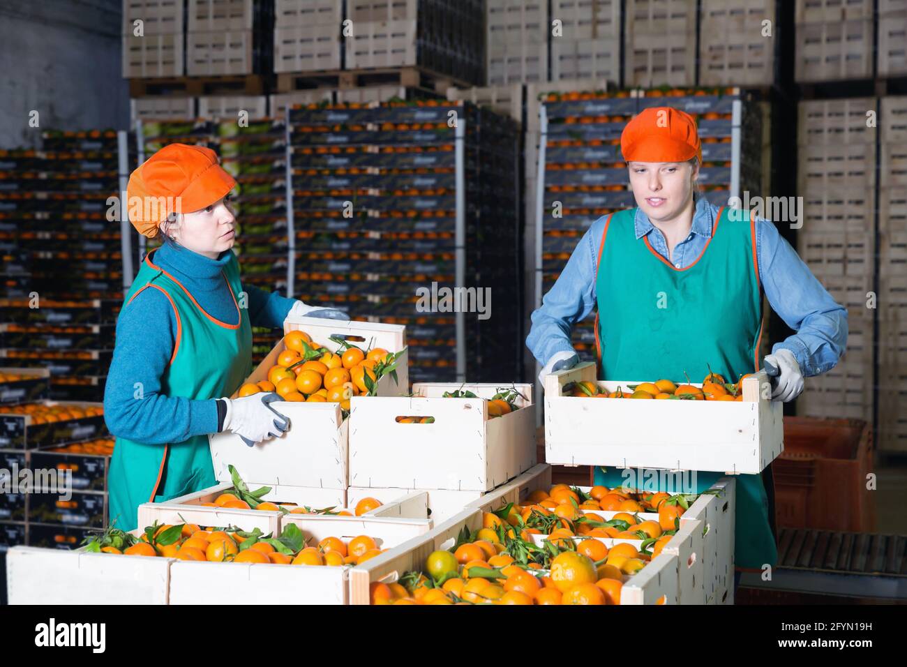 Two diligent cheerful female employees of fruit warehouse in colored ...