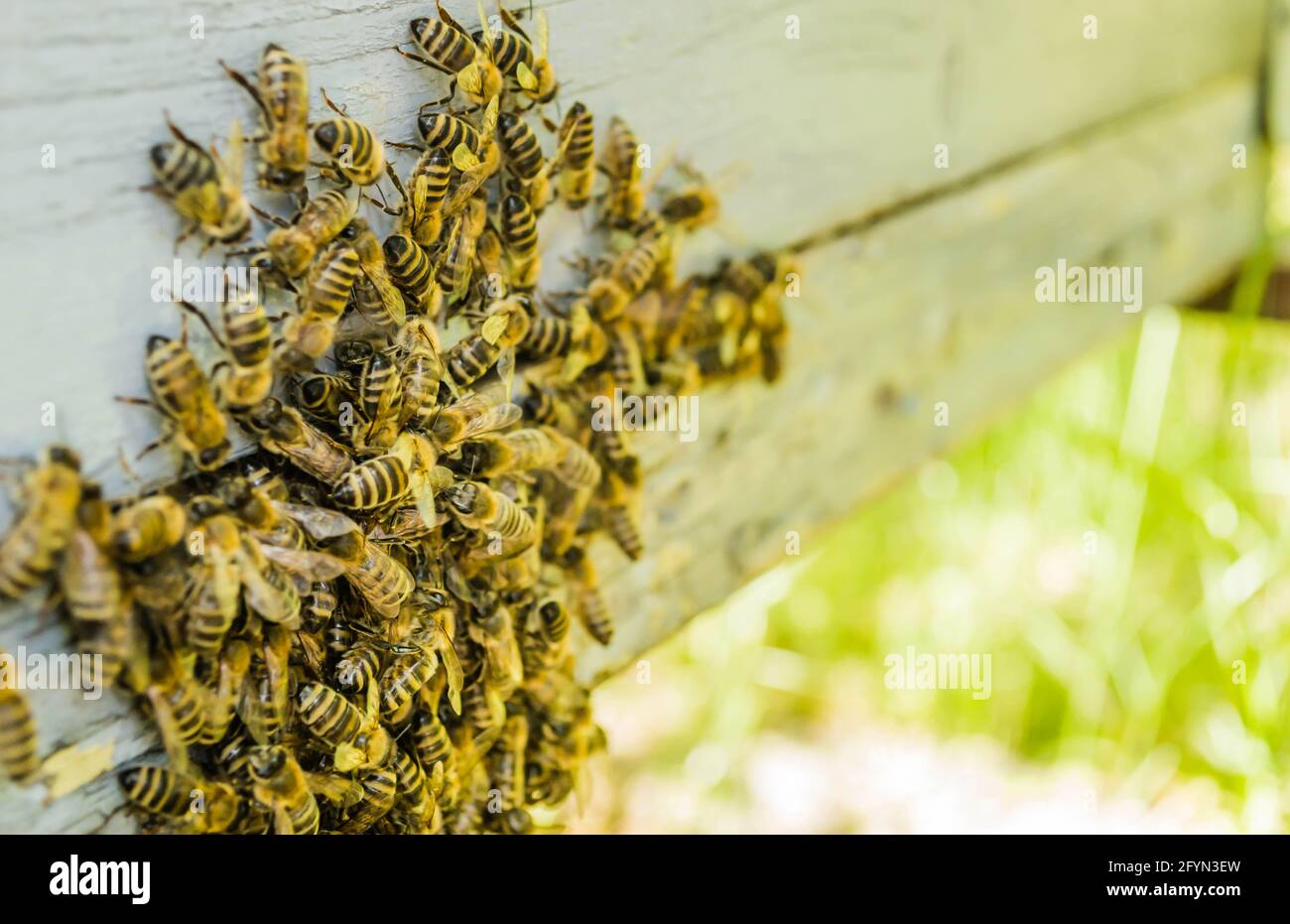 Beehive trailer hi-res stock photography and images - Alamy