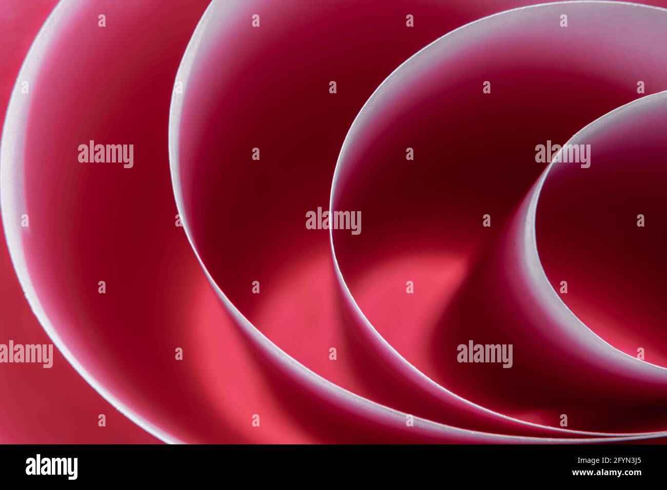 Abstract colored macro background, created with curved pink paper ...