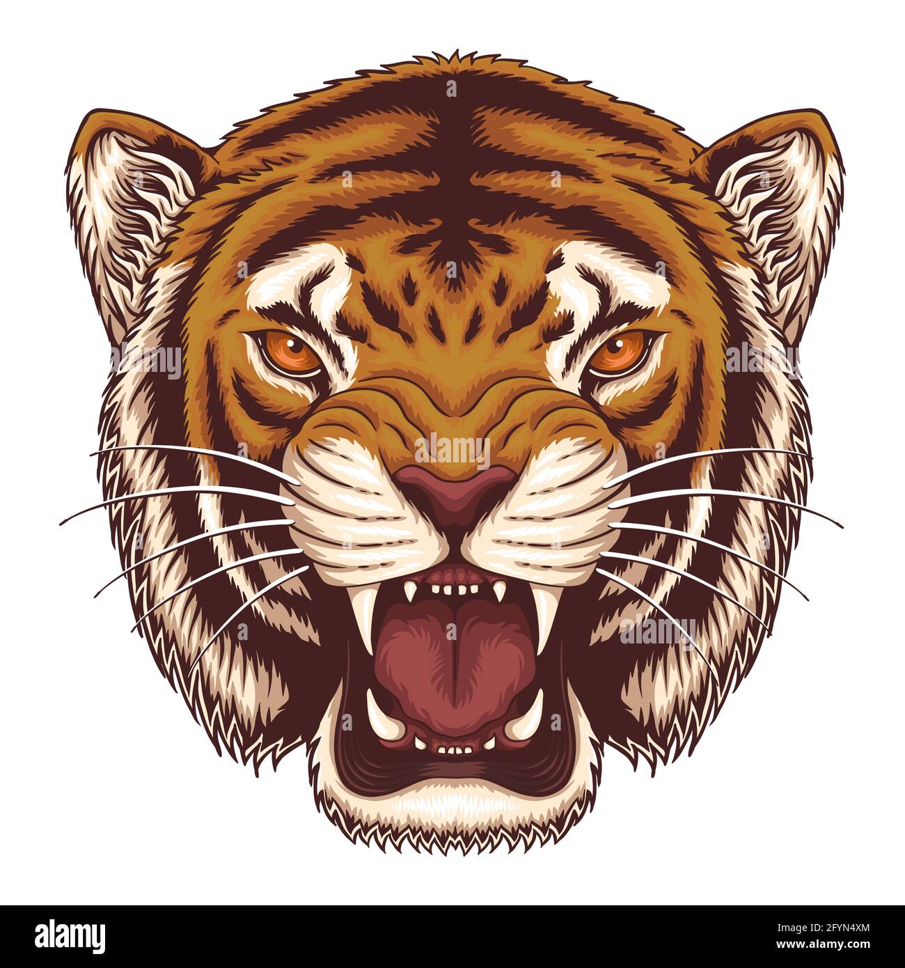 Angry tiger head Vector illustration Stock Vector Image & Art - Alamy
