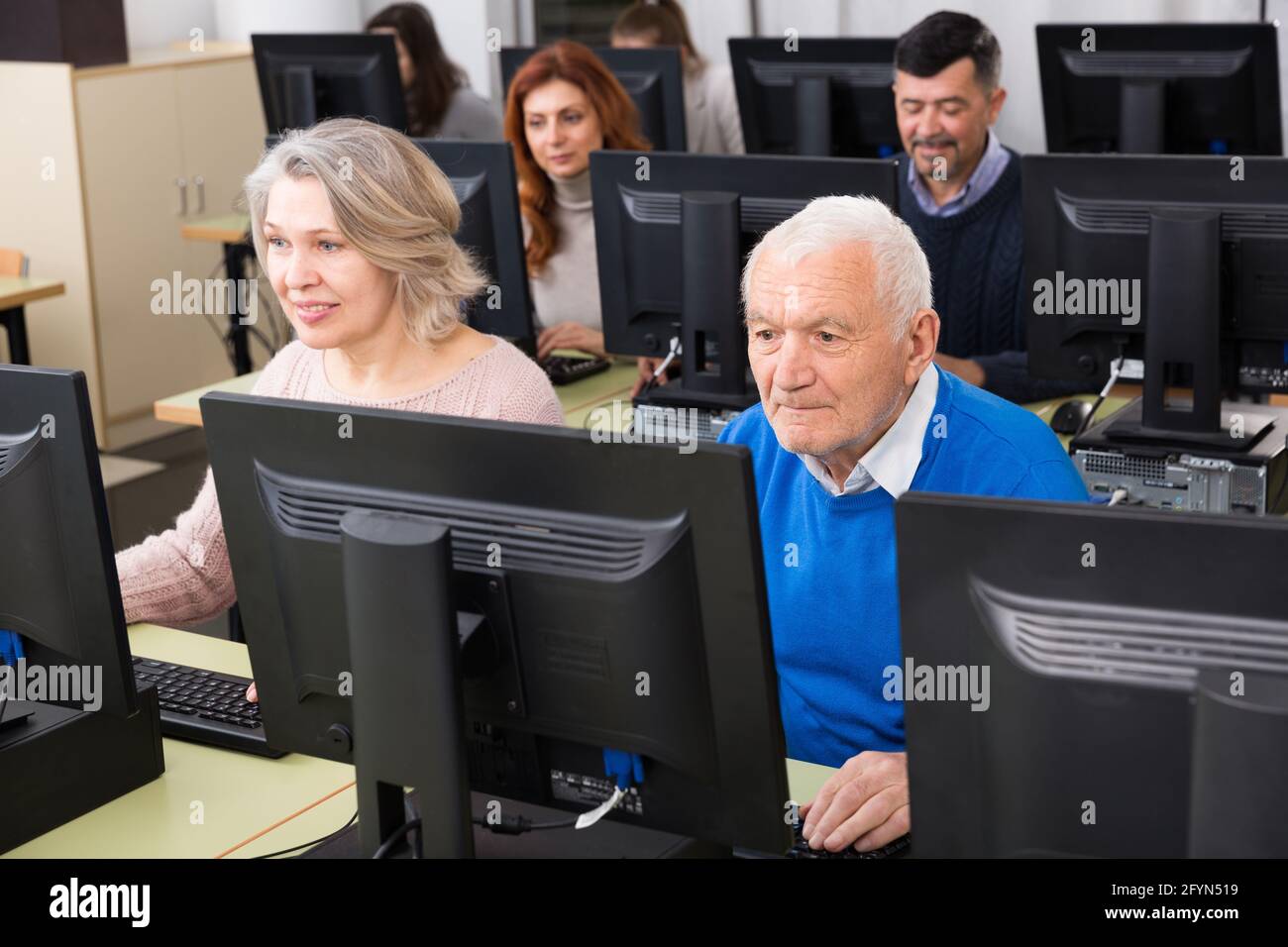 Portrait of modern elderly people working on computers while attending ...
