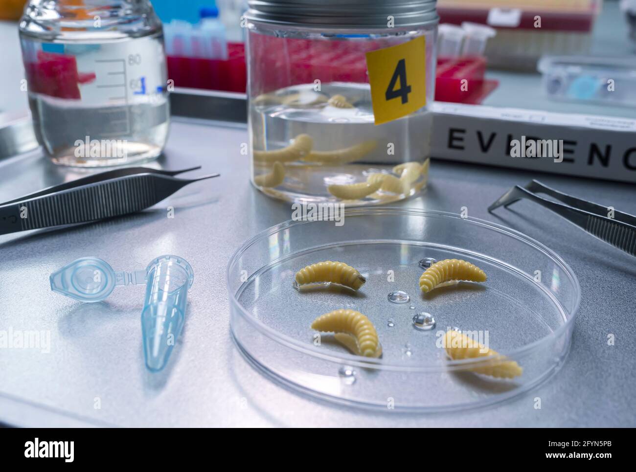 Crime Scene Forensic Scientists High Resolution Stock Photography and ...