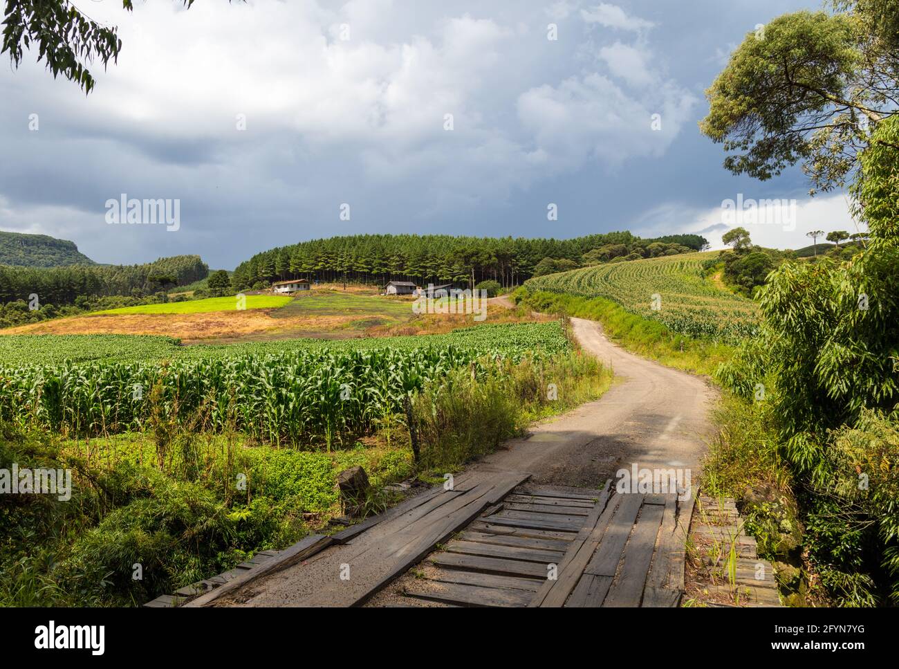 Beautiful scenery of a rural area landscape in Brazil Stock Photo - Alamy