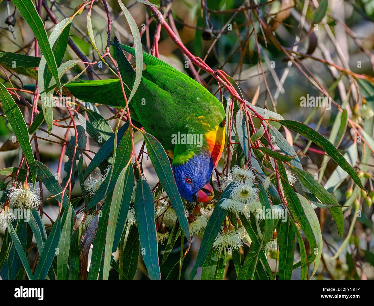 Eating Up.........side Down Stock Photo - Alamy